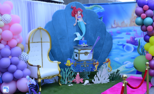 Clamshell Backdrop – Event Rentals